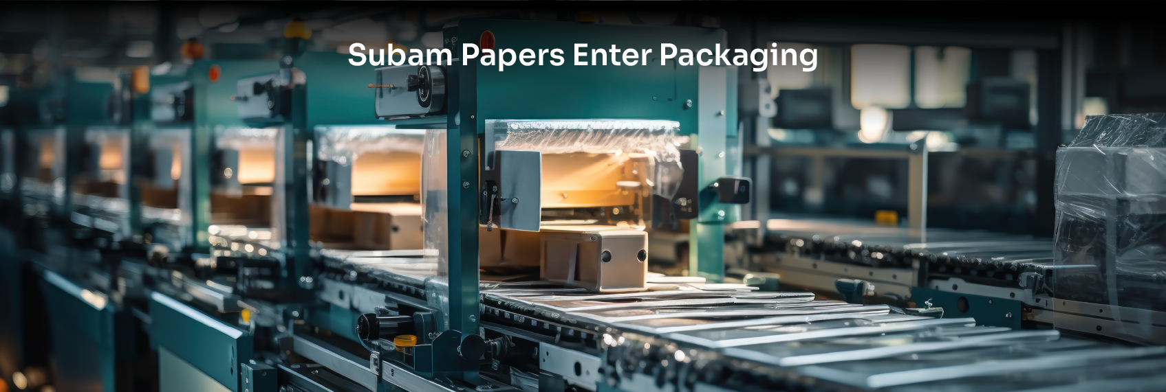Subam Papers enters packaging with 51% stake in new LLP