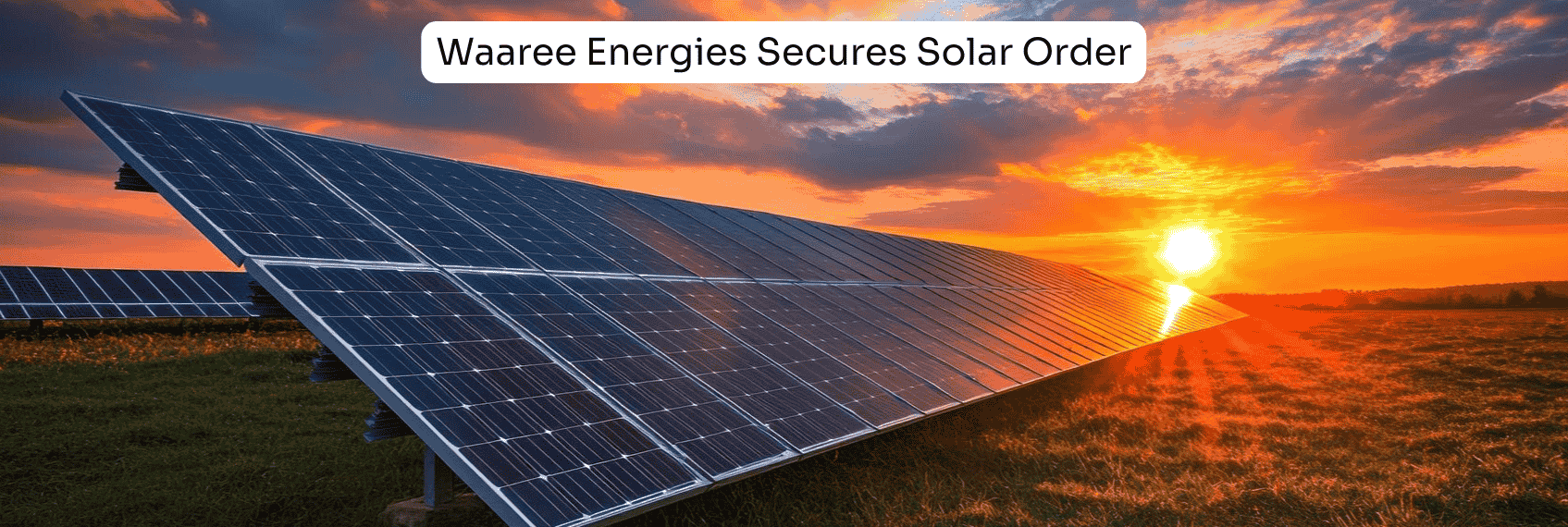 Waaree Energies Wins 599 MW Solar Order, Shares Gain