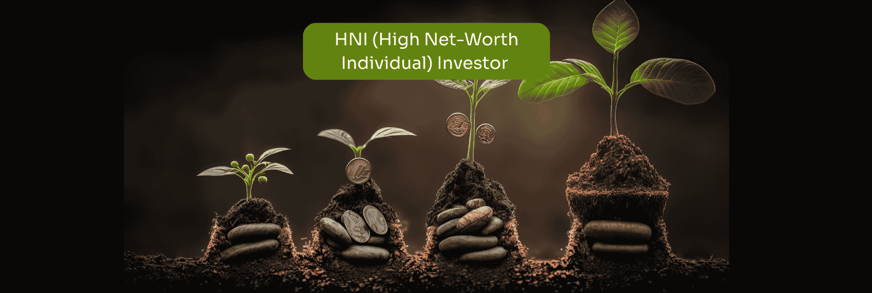 HNI in IPO: Full Form, Meaning, High Net Worth Individual Investor ...