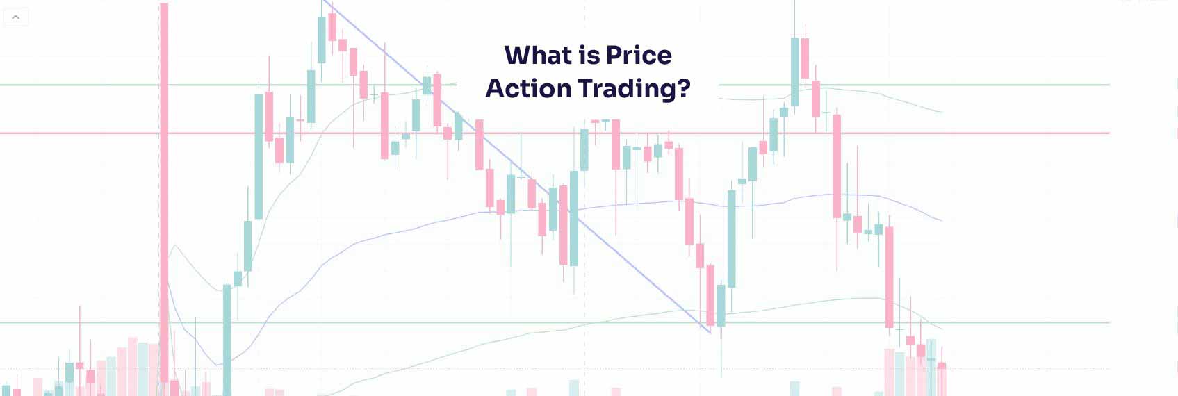 Price Action Trading in India: Guide, Patterns & Strategies | Ventura Blog