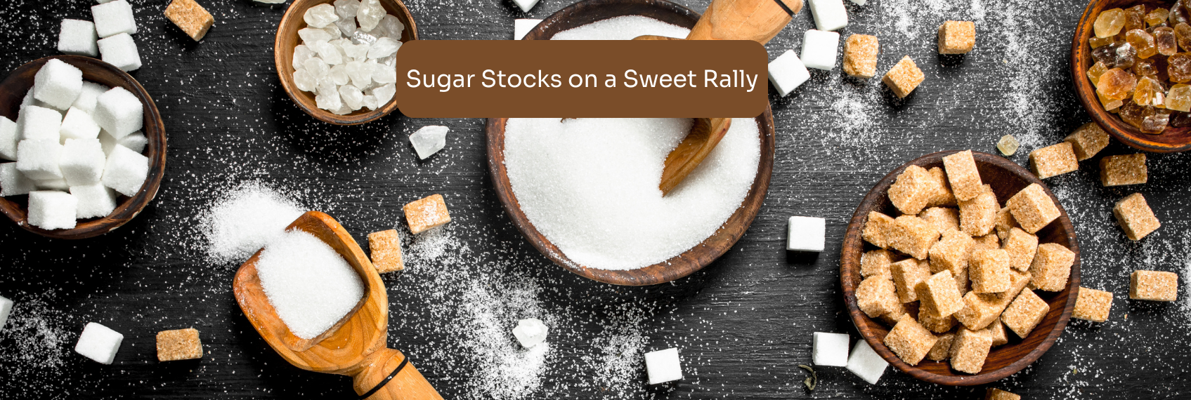 Why Sugar Stocks Are Rallying on September 2 | Rajshree, Renuka Surge ...