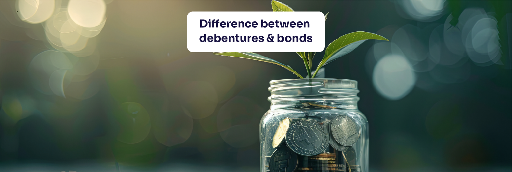 Understanding Debentures vs Bonds in India | Ventura
