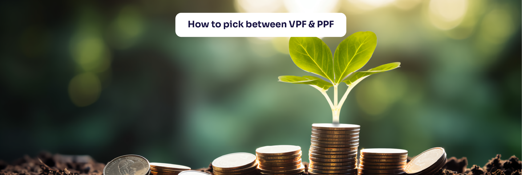 How to pick between VPF and PPF - Ventura